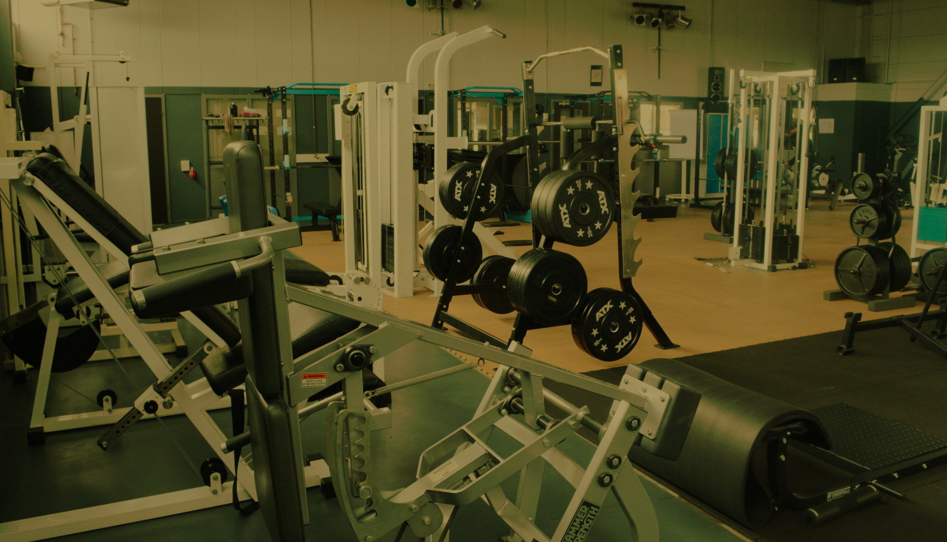 Rog's Gym – Pushing limits